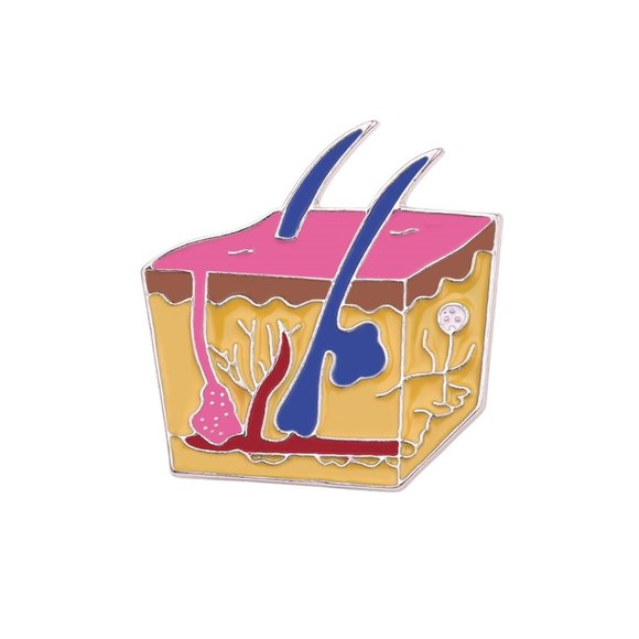 Jewelry | Histology Epidermis Blood Capillary Enamel Pin | Poshmark